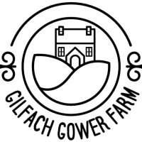 Blog – Gilfach Gower Farm Luxury Glamping and Sustainable Meat